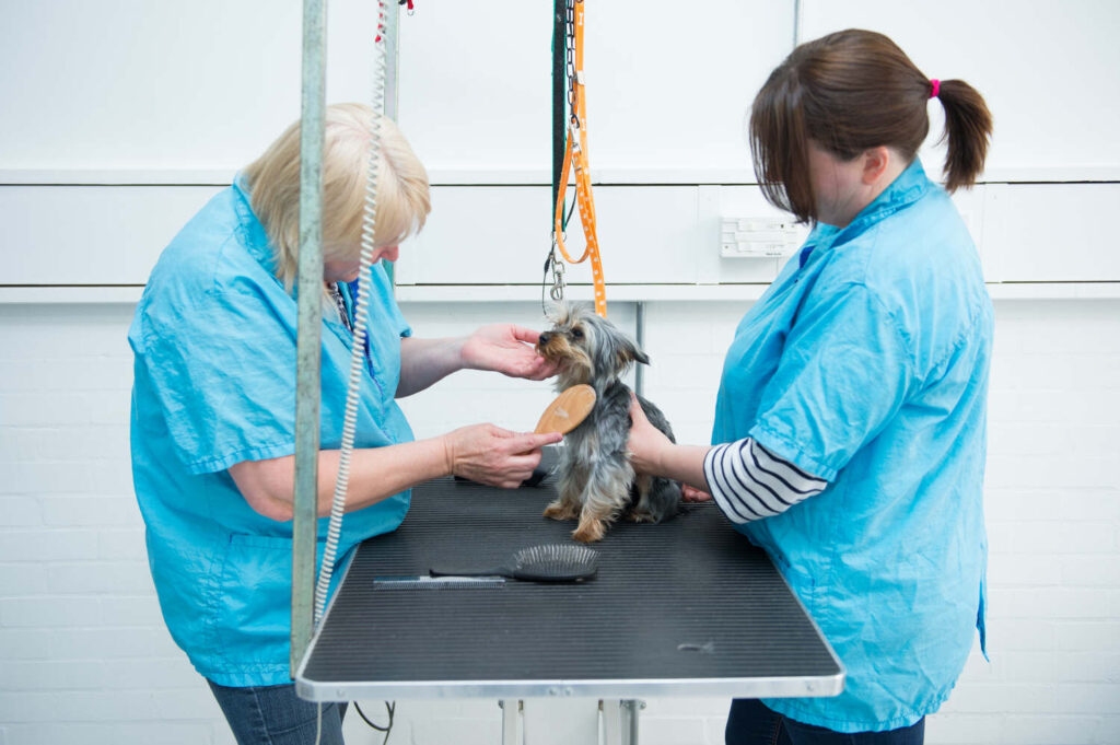 The STEM Centre, Technology Campus - St Helens College