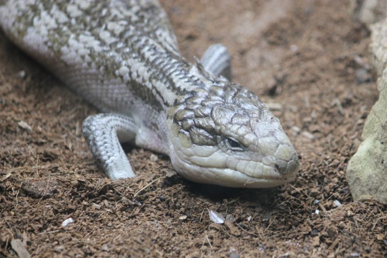 Subject areas - St Helens College